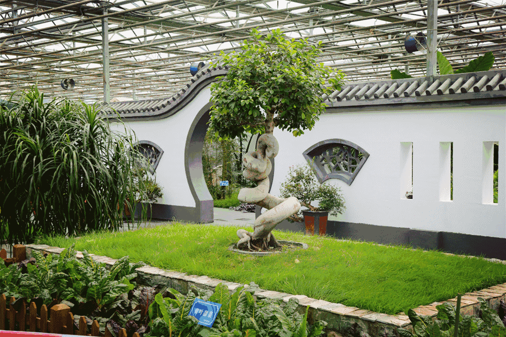 2017长春农博园游玩攻略（时间+门票+交通） - 长春本地宝